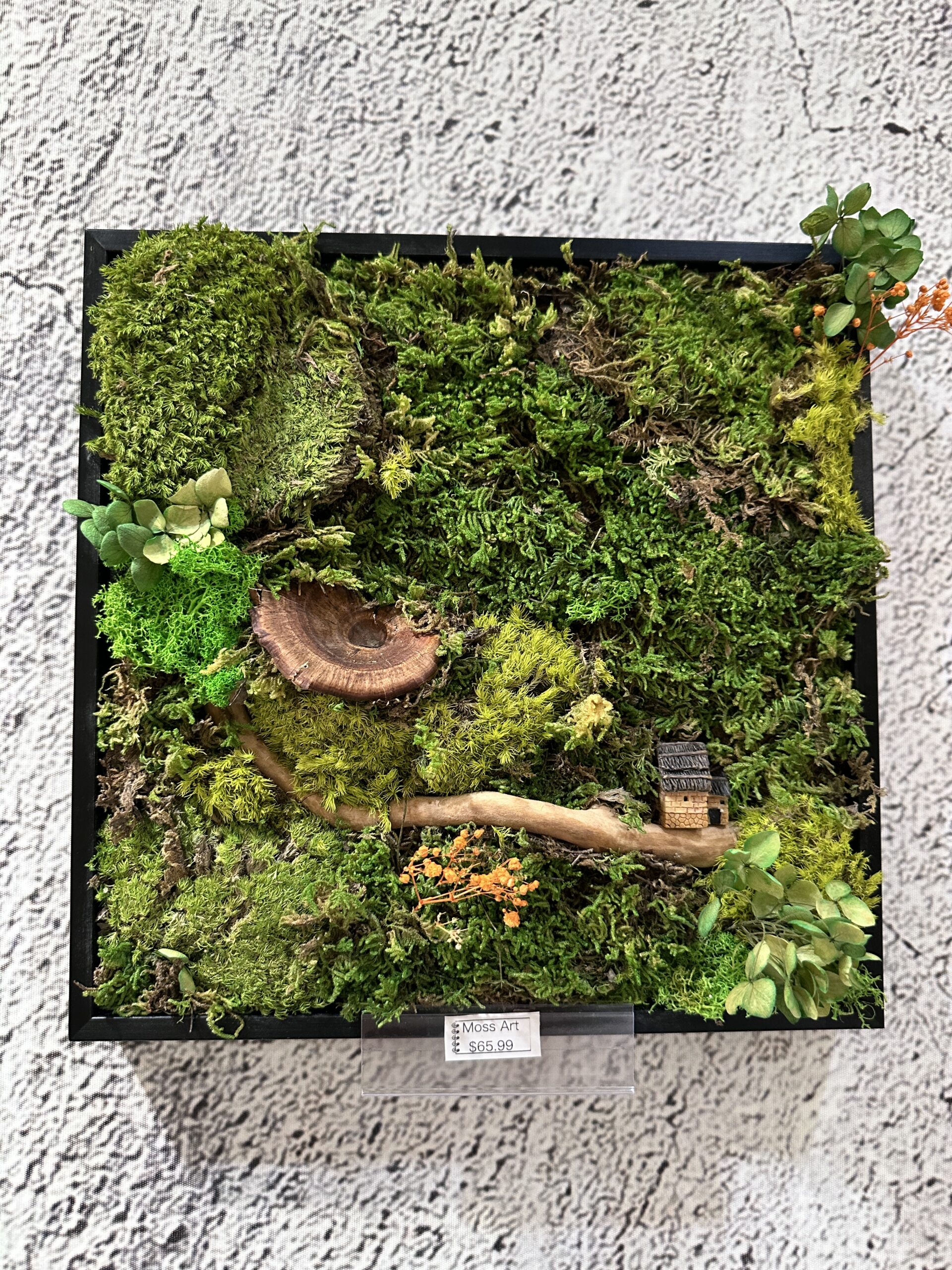 Natick Moss Art - Crafts Zone